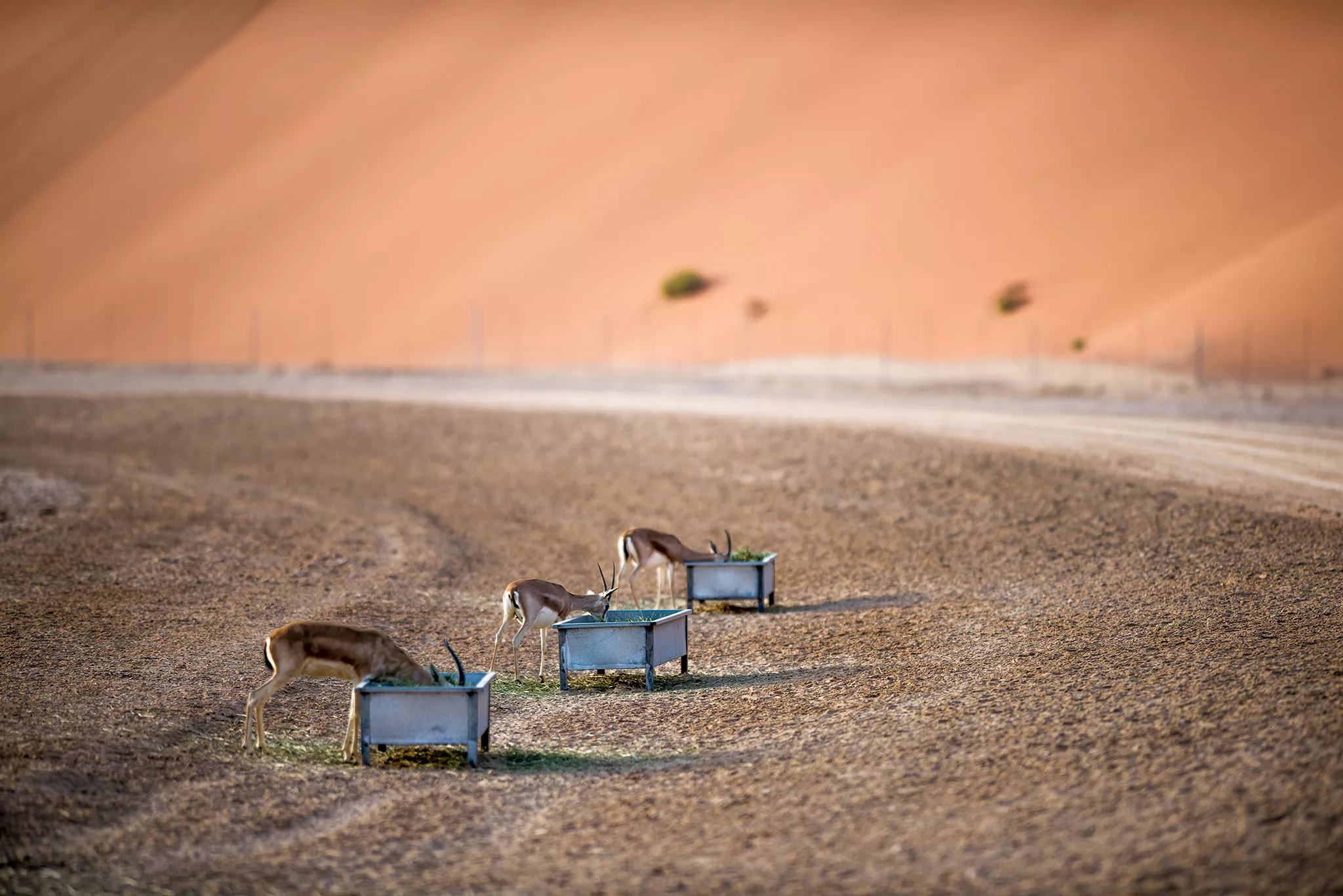 How 70-year-old Abqaiq Plants transformed to become a 4IR leader | Aramco