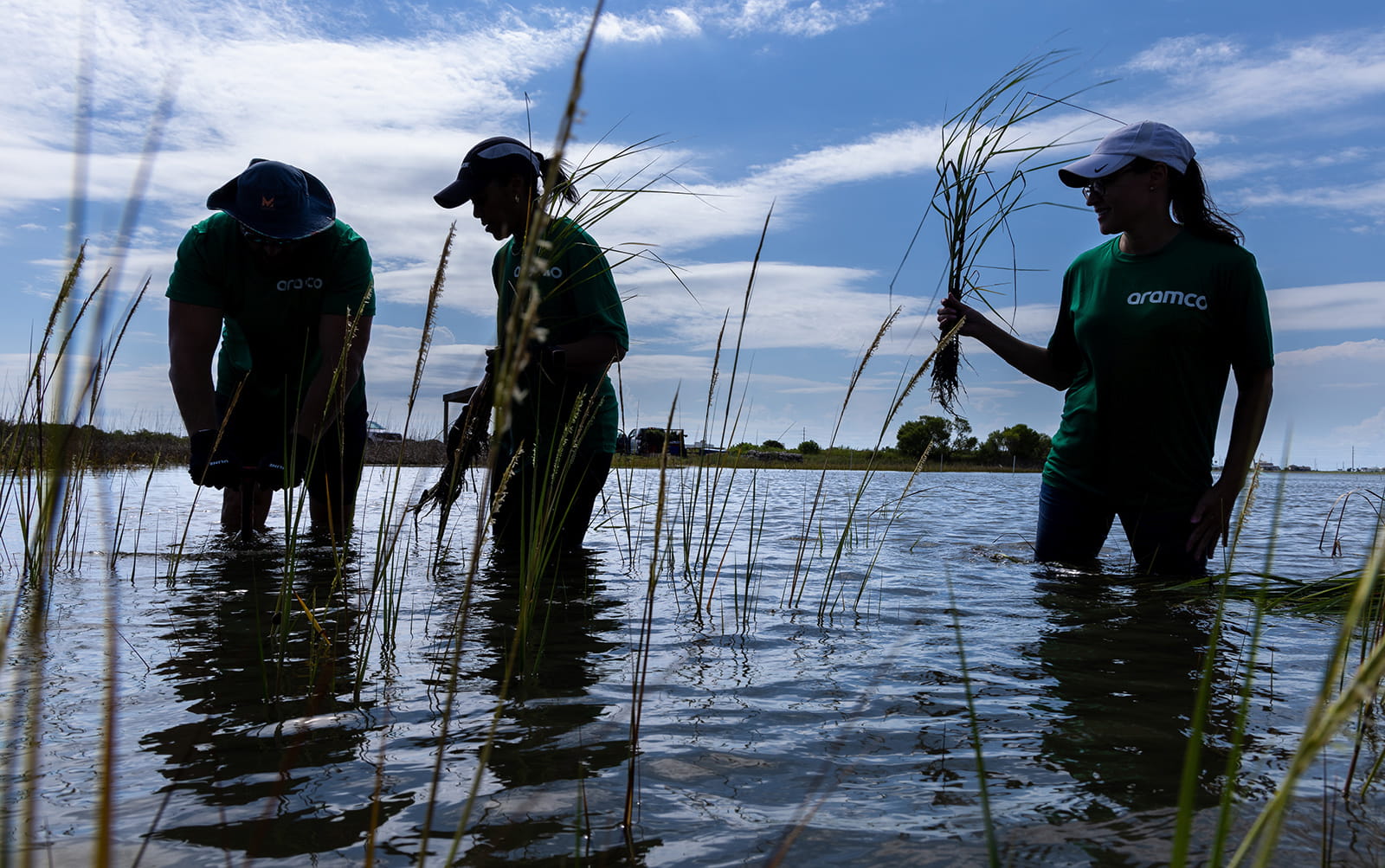 Aramco volunteers plant marsh grass in Galveston Bay ahead of National ...