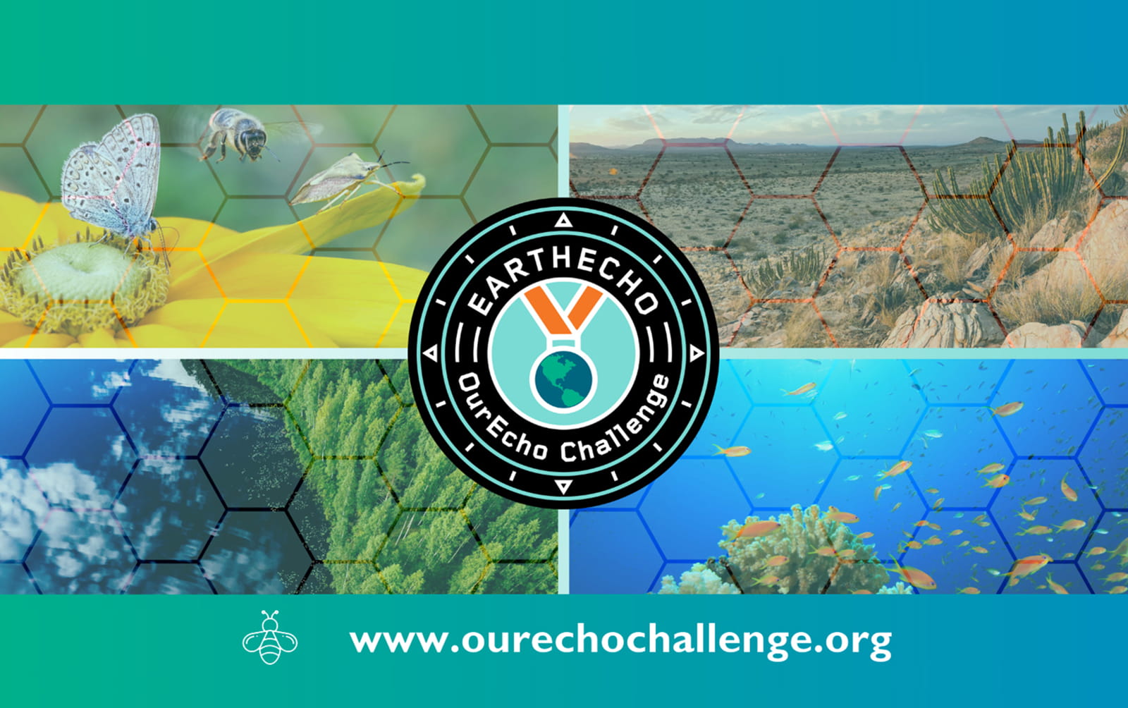 Aramco's biodiversity challenge expands | Aramco Americas