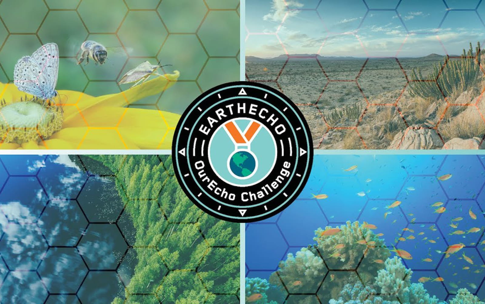 Where Energy is Opportunity | Aramco Americas